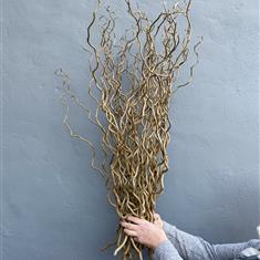 TWISTED HAZEL 80CM LONG